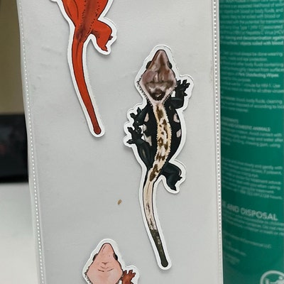 Green Tree Python Sticker From Digital Painting Gtp Artwork - Etsy