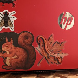 Garter Snake Sticker - Etsy