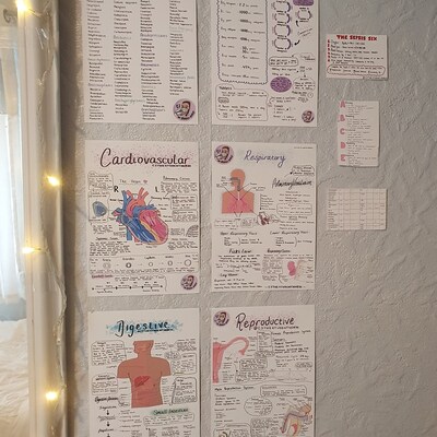 Medication Poster Set - Etsy UK