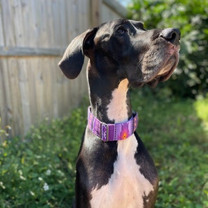 Rainbow Paw 2 Inch 1 Inch Dog Collar Big Dog Collar - Etsy