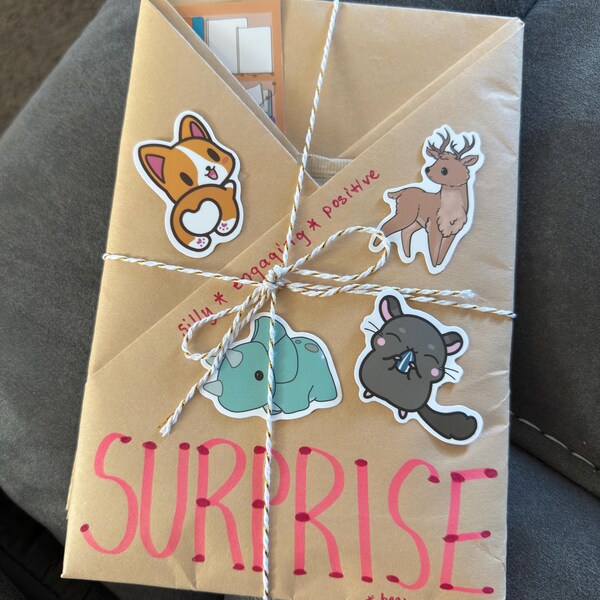 Blind Date With a Book Gift Set for Book Lovers, Book Club Inspo ...