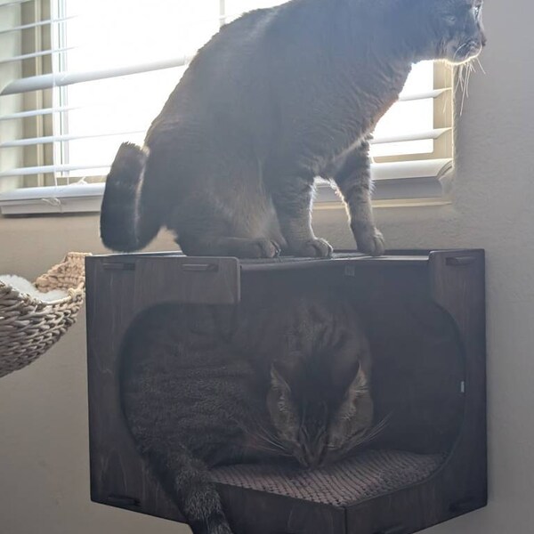 Cat Wall / Cat Bed Cave, Floating Shelf, Cat Bridge, Wall Climb for ...