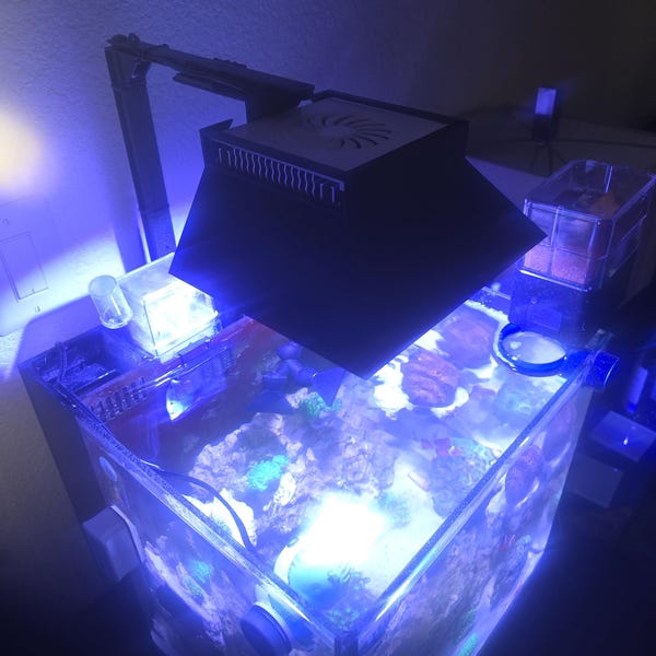 Frag Rack for Easy Propagation of Coral - Etsy