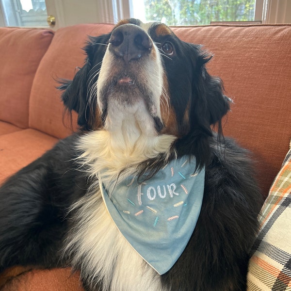Personalized Dog Bandana Birthday Girl Bandanna for 1st Birthday ...