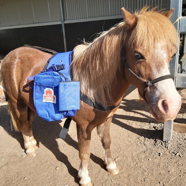 Miniature Horse and Donkey Backpacks - Custom Patches and Accessories ...
