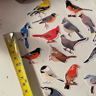 Pi Beta Phi Sticker Pack, Pi Phi Sticker Pack, Pi Beta Phi Gifts, Pi ...