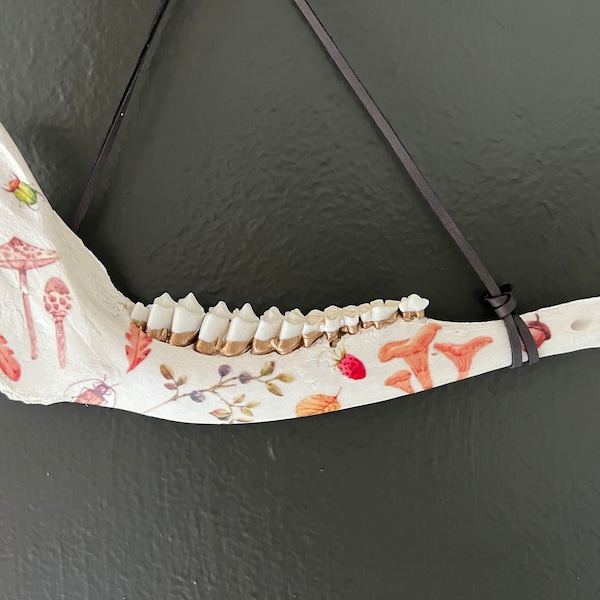 Cottage Core Deer Jawbone Wall Hanging Decor Real Bone Painted Skull ...