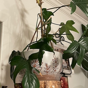 LADDER HANDRAILS Black White or Bare Steel No Obstructions Candy-cane ...