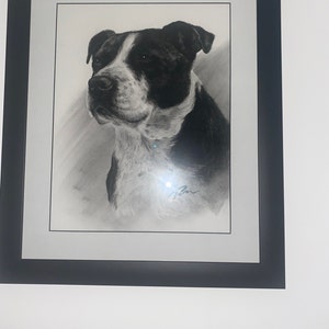 Custom Pet Portrait Charcoal Custom Dog Portrait Pet - Etsy