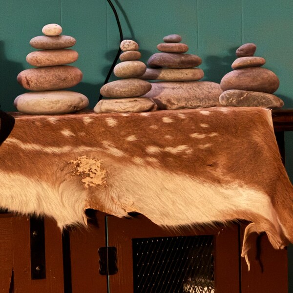 4-5lbs River Rocks Colorful Stones Smooth Aquarium Rocks Terrarium ...