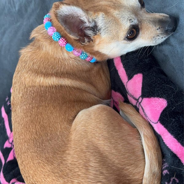 Wristlet Bead Keychain for Dog Mom, ADD-ON ONLY, Match Bead Dog Collar ...