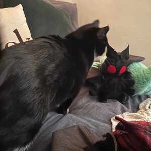 Moth Plush Black and Red made to Order - Etsy