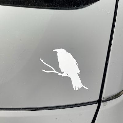 Crow Decal Crow on Branch Vinyl Decal for Bumper Sticker, Laptop, Cars ...