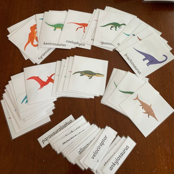 DINOSAURS • 20 Editable Montessori Cards • Flash Cards Nomenclature ...