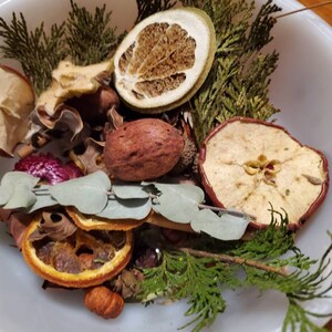 Cherokee, North Georgia Candy Roaster Squash . Cucurbita Maxima - Etsy