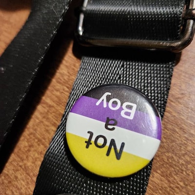 Are You a Boy or a Girl Meh. Gender Apathetic Pride Flag Pronoun 1.25 ...