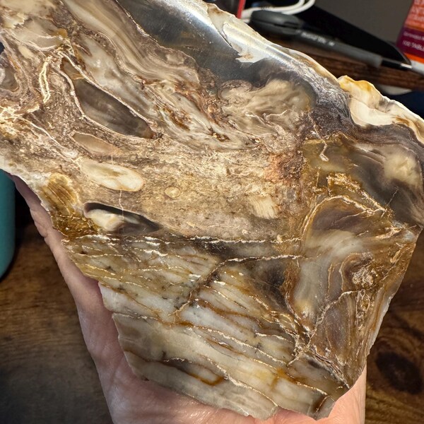 Golden Sard Agate Nodule, Fully Polished, Oregon - Etsy