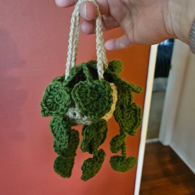 Crochet Car Plant Pothos PATTERN ONLY Pamelambie Tiktok - Etsy