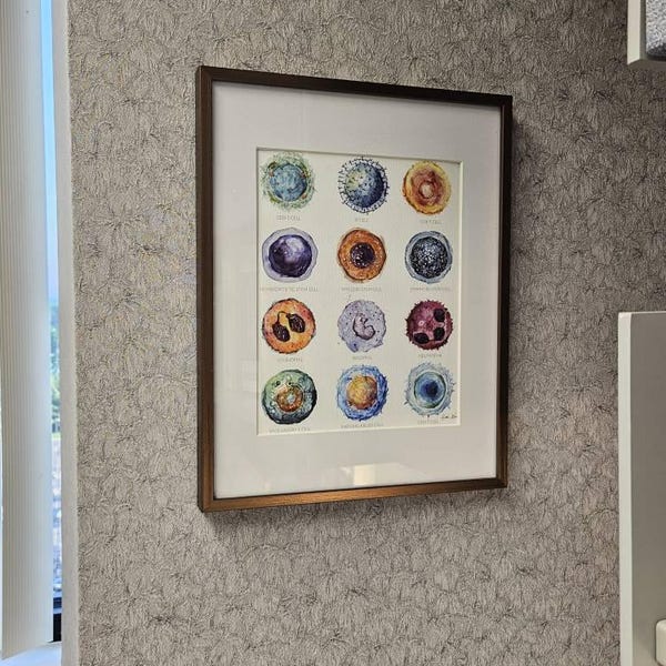 Cells Watercolor Poster - Cell Paintings - Blood Cells - Hematology Art ...