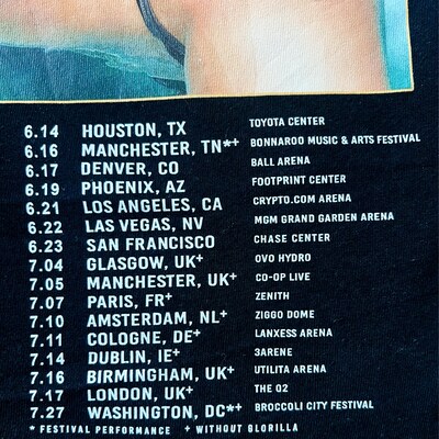 File Alanis Morissette Design Graphic, the Triple Moon Tour 2024 ...