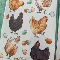 Chicken Planner Stickers, Cute Farm Stickers, Hand Drawn Watercolor Hen ...