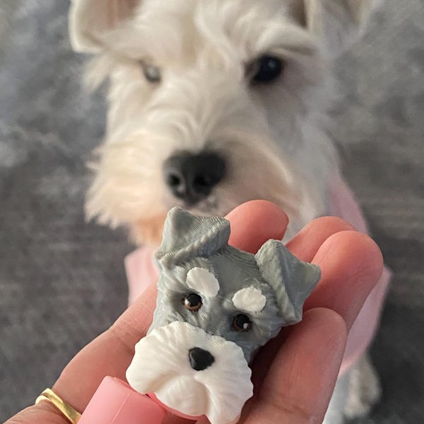 Wicked Dragon Straw Topper * Stanley 30 Oz or 40oz Straw Topper * Fits ...