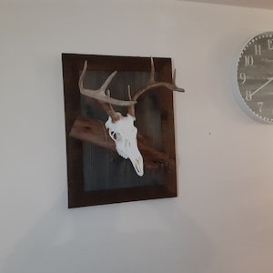 European Mount Plaque Custom Built - Etsy