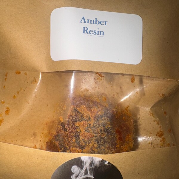 Onycha-operculum Hard - Operculum Shells, Sea Shells, Devils Nails ...