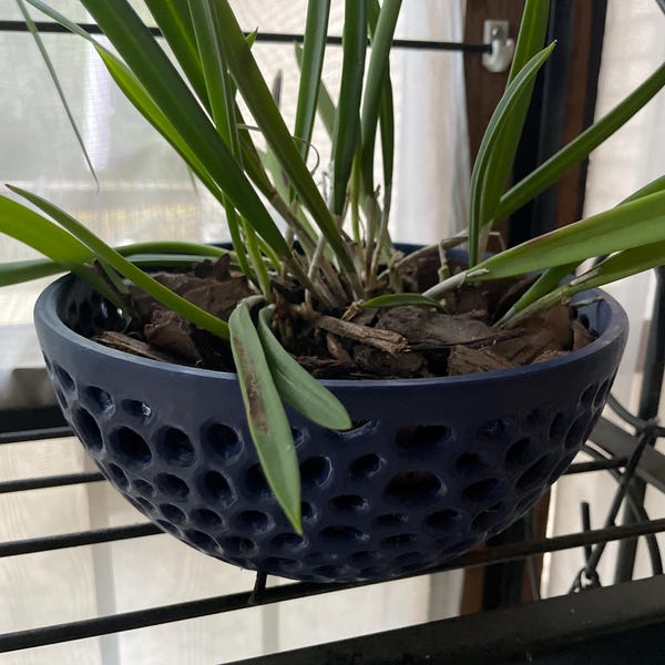 Wide Groovy Orchid Pot Planter With Drainage Holes, Modern Stylish ...