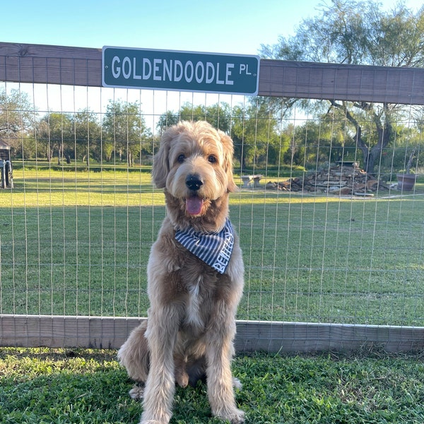 Goldendoodle, Goldendoodle Lover, Goldendoodle Sign, Custom Street Sign ...