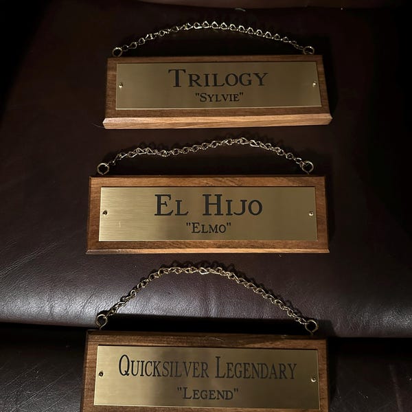 Custom Engraved SILVER Tack, Bridle, Martingale Plate, Horse Tack Plate ...