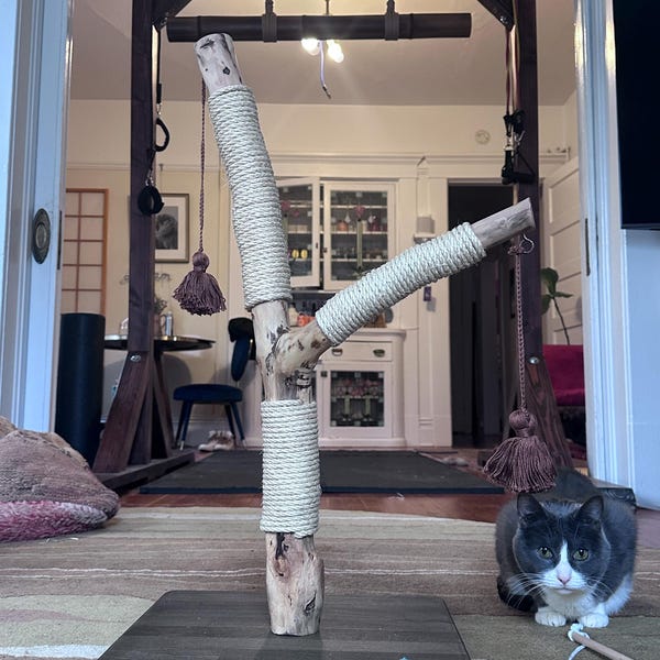 Unique Scratching Post, Cat Climbing Tree With Toys, Solid Wood ...