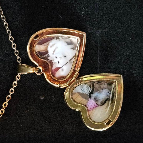 Personalized Oval Photo Locket Necklace, Vintage Locket Necklace, Moon ...