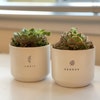 Personalized Name Definition Planter Pot | Custom Name Definition Pot ...