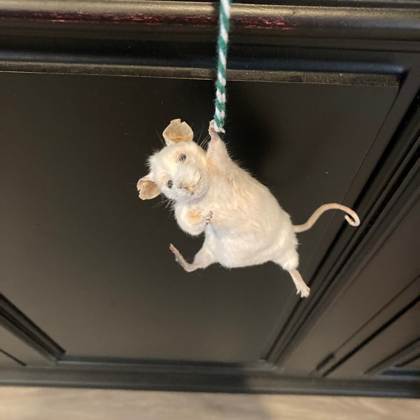 Hanging Mouse - Etsy UK