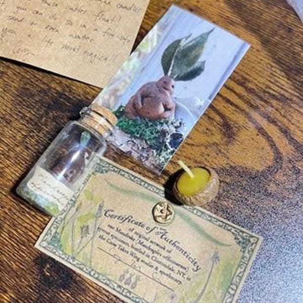 Adopt Your Own Mandrake // Mandrake Charms, Talisman, Creature ...