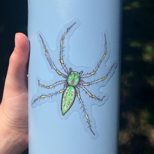 Cicada Trio Sticker Pack - Etsy