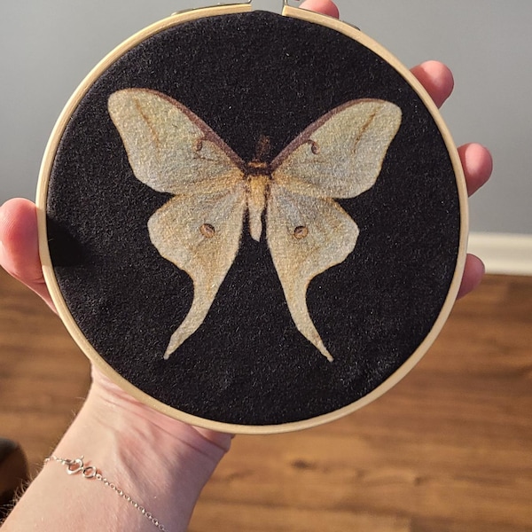 Stick Insect Wall Art Print, Bug Posters, Insect Decor, Entomology ...