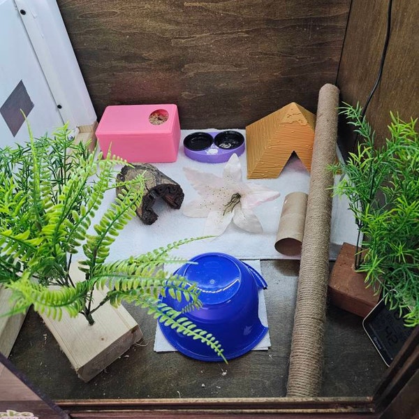 Leopard Gecko Moist Hide / Lay Box - Etsy