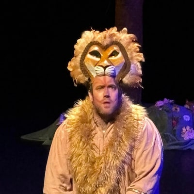 Simba Headdress, Lion King Headdress, Simba Mask, Lion King Junior ...