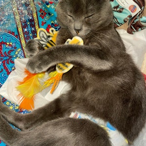 Cannabis Weed Marijuana Joint 420 Kitty Stash Cat Nip Toy 100% - Etsy