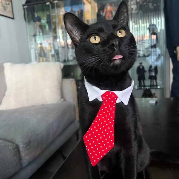 Black Satin Cat Bow Tie, Wedding Cat Bow Tie - Etsy