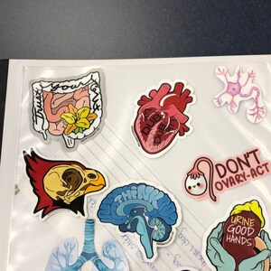 TRUST YOUR GUT Anatomical Intestines Vinyl Die-cut Sticker - Etsy