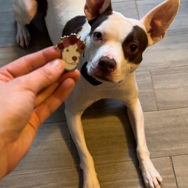 Dog Enamel Pin - Gift for Dog Lover - Valentines Day Gift for Her - Etsy