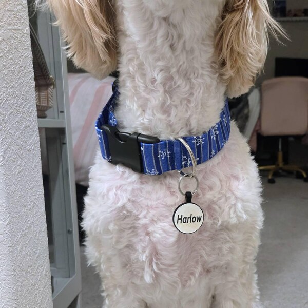 Cat Chef Collar Dog Food Cat Collar Vegetable Dog Collar Cooking Cat ...