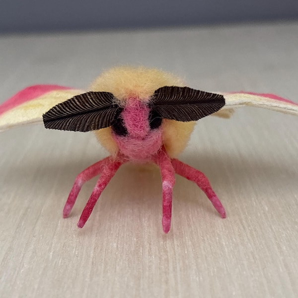 Rosey Maple Moth, Moth Figurine, Decoration, Needle Felted, Realistic ...