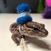 Leopard Gecko (and Other Lizard) Hats - Etsy