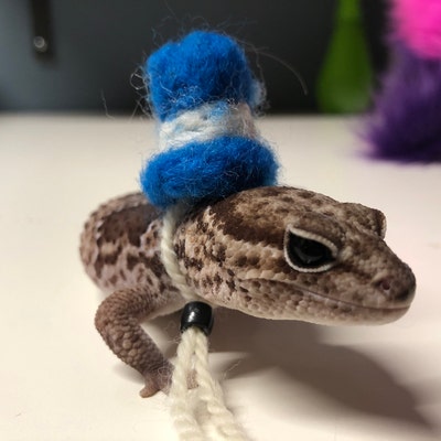 Leopard Gecko and Other Lizard Hats - Etsy
