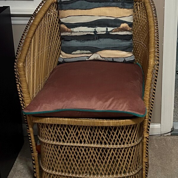 Paw Proof Velvet Pillow Cover * Piping Velvet Throw Pillow ...