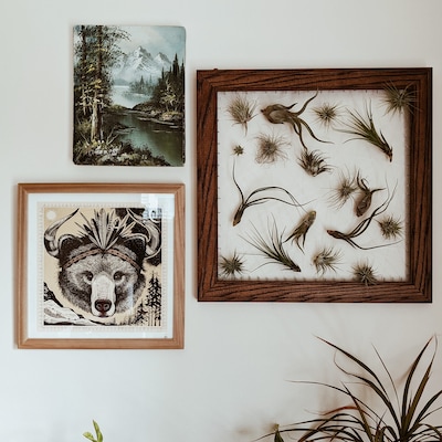 Natural WILLOW Picture Frame in Peewee Style Choose Size: 2x2 up to ...